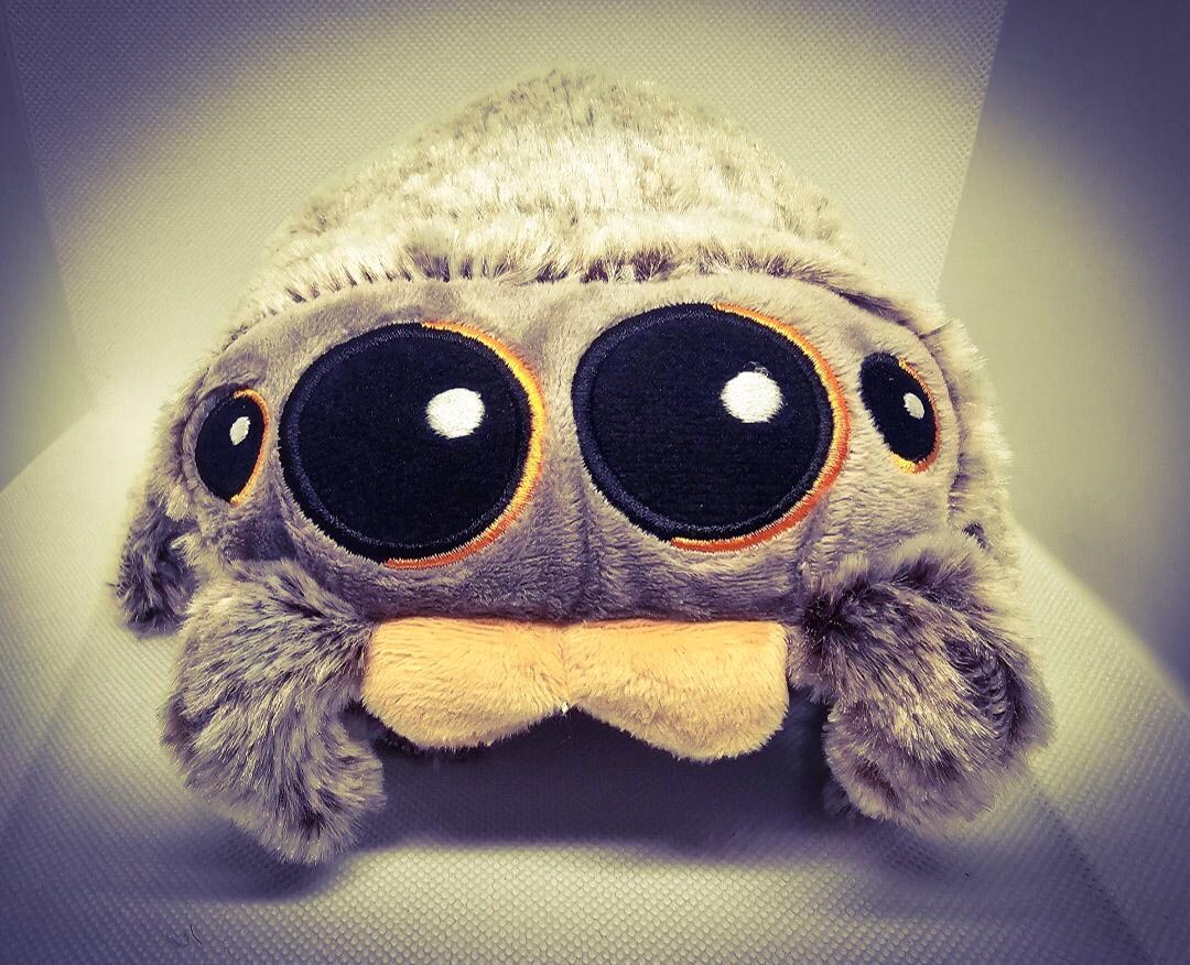 Cuddly Jumping Spider Plush - Etsy