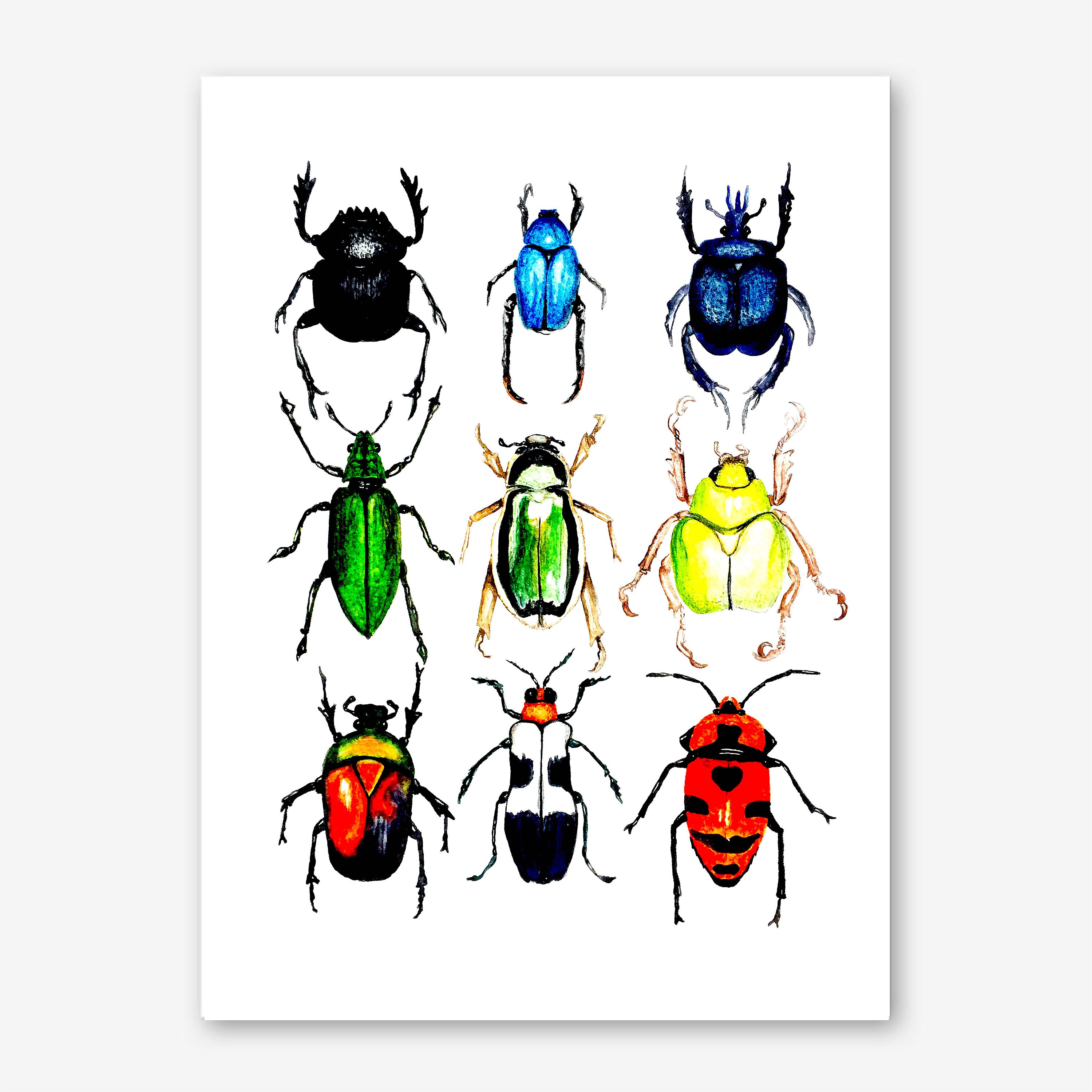 Beetles Art Print, Bugs, Beetles, Colorful Bugs, Entomology ...