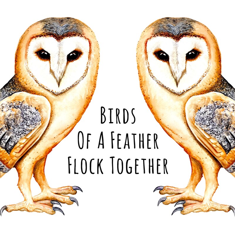 Flock Together - Etsy