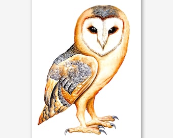 Labyrinth Barn Owl - Etsy