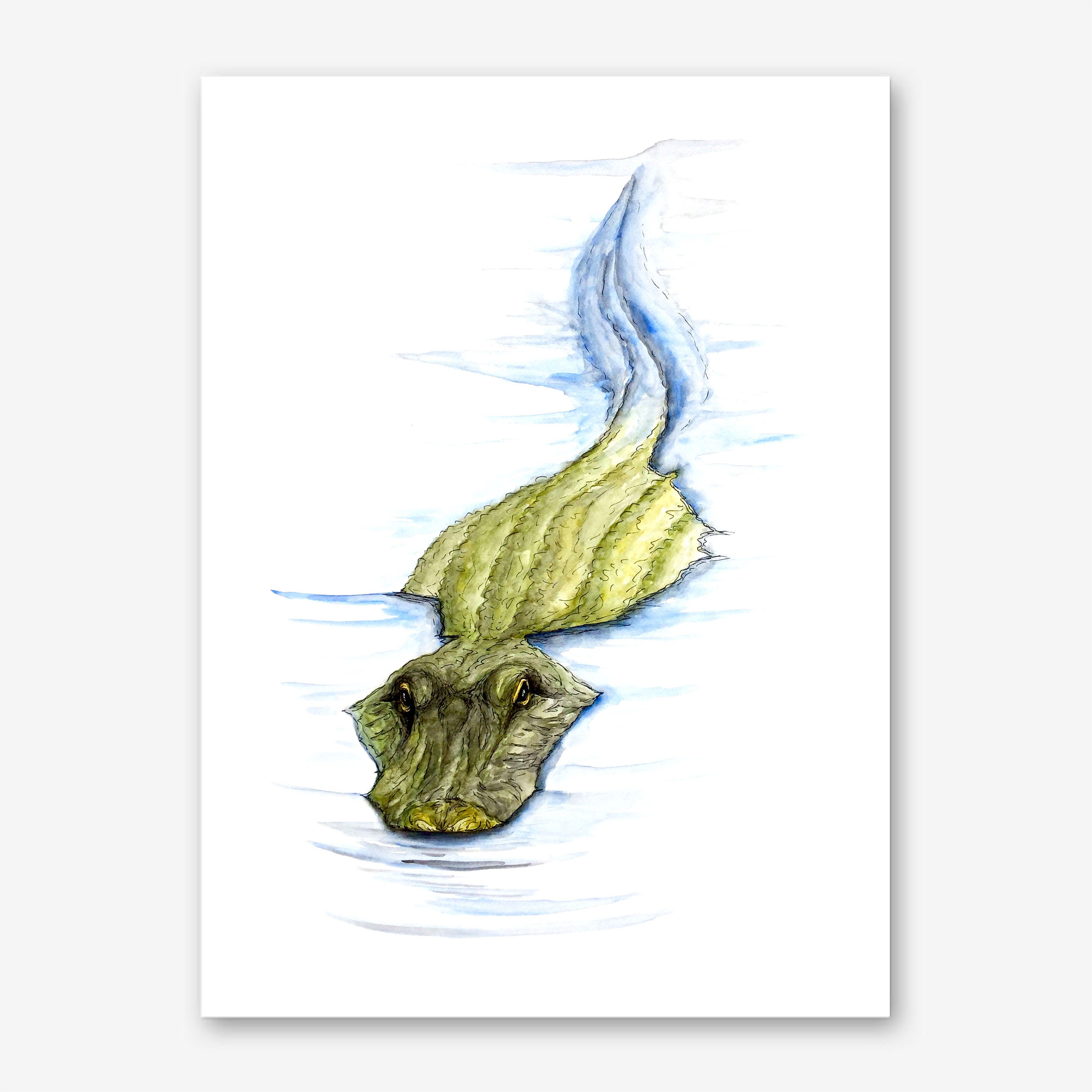 Alligator Art, Florida Gator, Gators, Alligator Print, Tropical Art ...