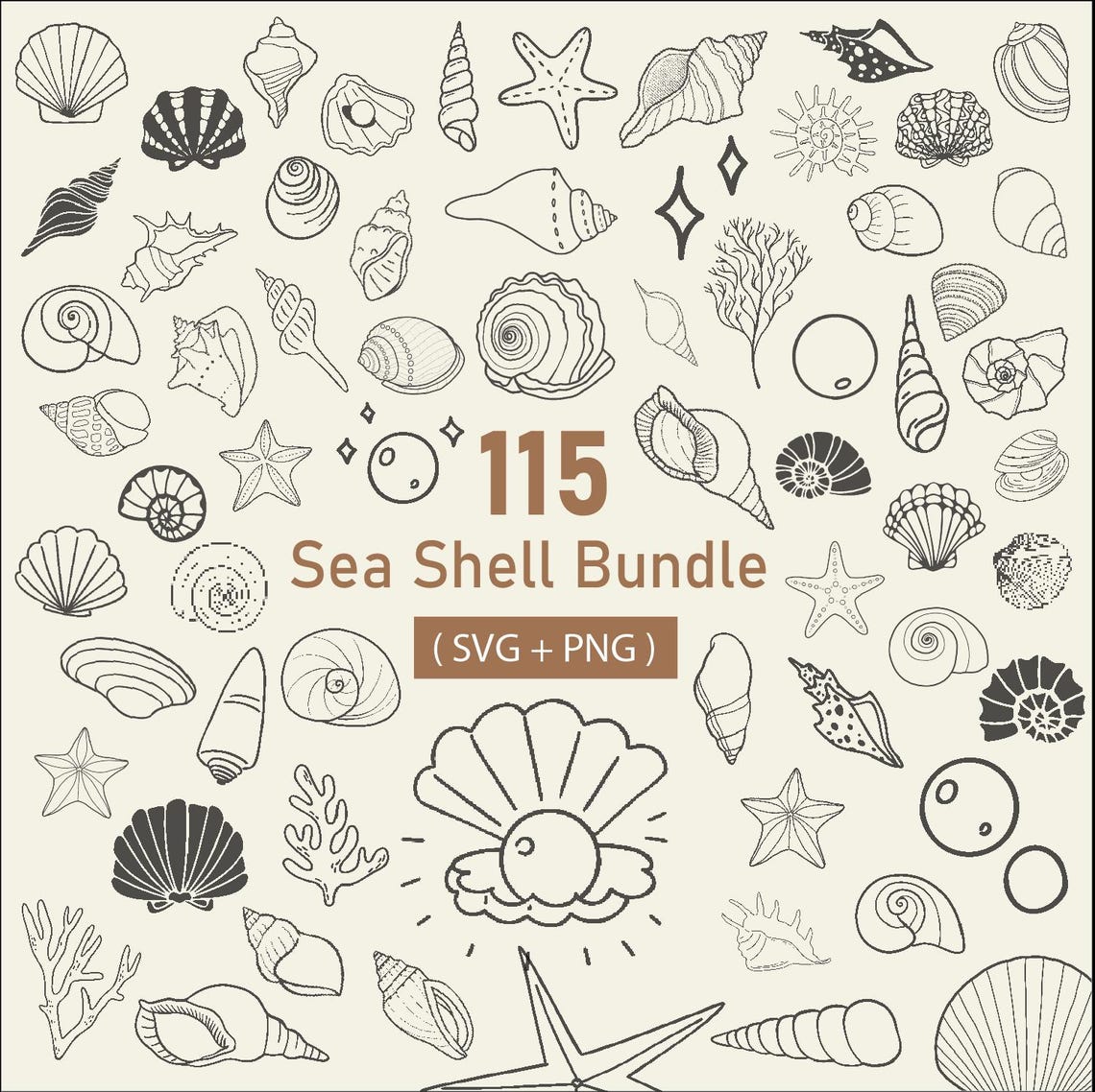Seashell SVG Bundle, Seashell PNG Bundle, Seashell Clipart, Seashell ...