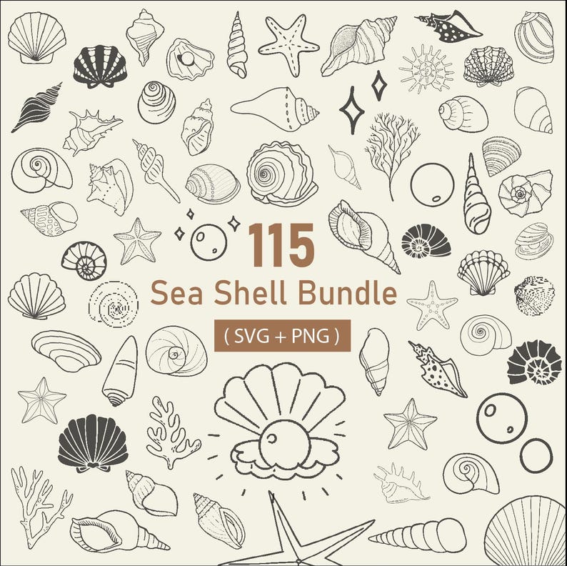 Seashell SVG Bundle, Seashell PNG Bundle, Seashell Clipart, Seashell ...