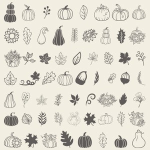 60 Fall Leaves & Pumpkins Line Art: Autumn SVG Clipart (PNG) - Etsy