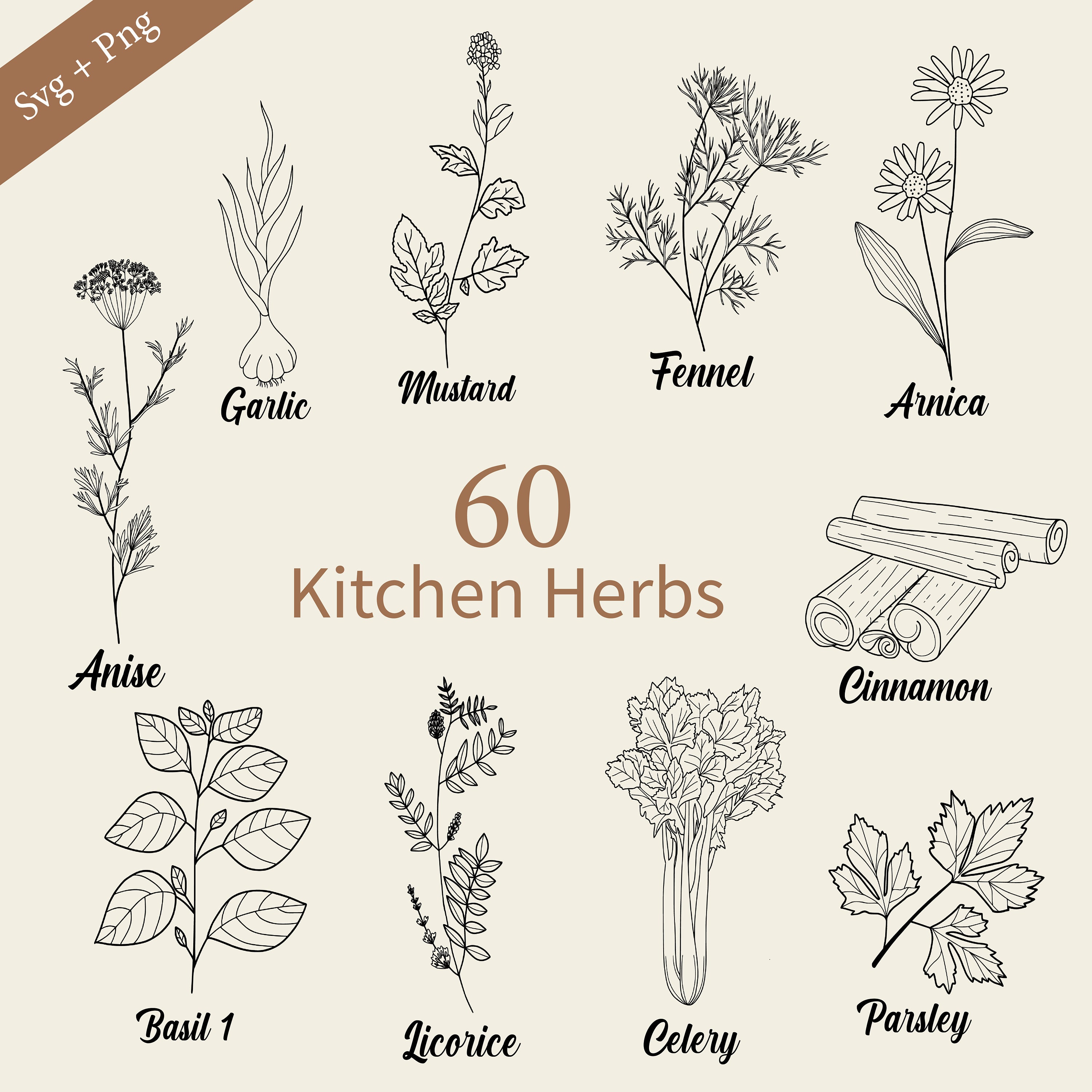 60 Kitchen Herb SVG Bundle: Farmhouse Style (SVG, PNG) - Etsy