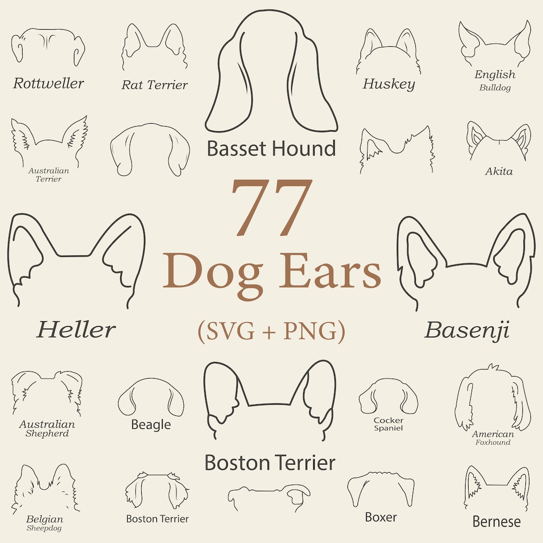 Dog Breed Ears Outline SVG Bundle: Hand Drawn Line Art (PNG) - Etsy
