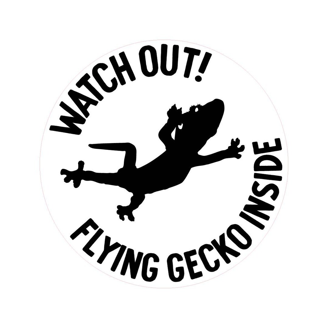 Crested Gecko Svg - Etsy