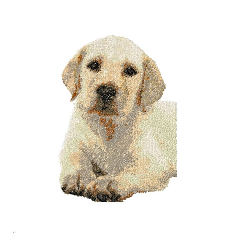 Labrador Puppy Machine Embroidery Design - Etsy