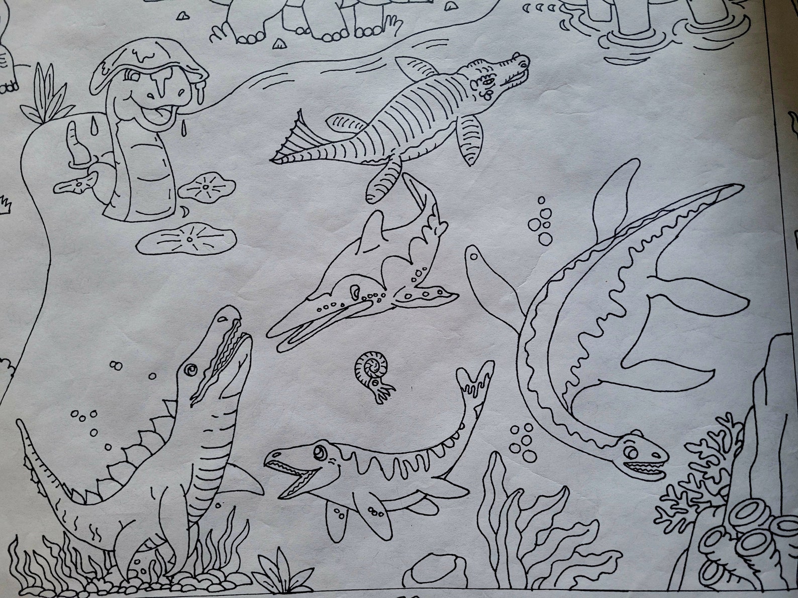 Dinosaur Coloring Poster - Etsy