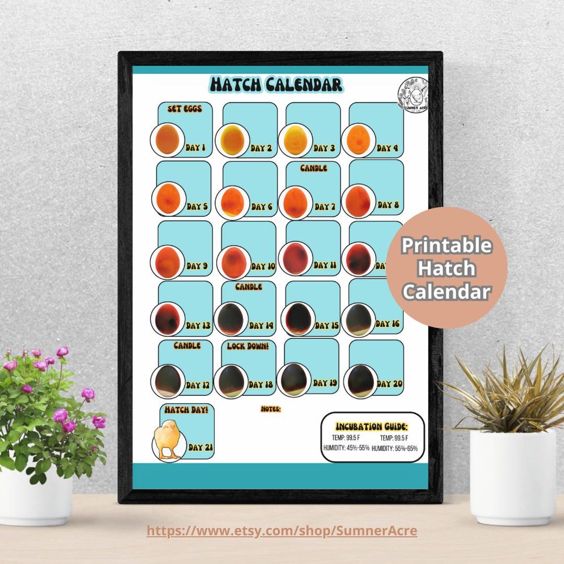 Chick Hatching Calendar - Printable PDF - Candling & Lockdown Dates - 1 ...