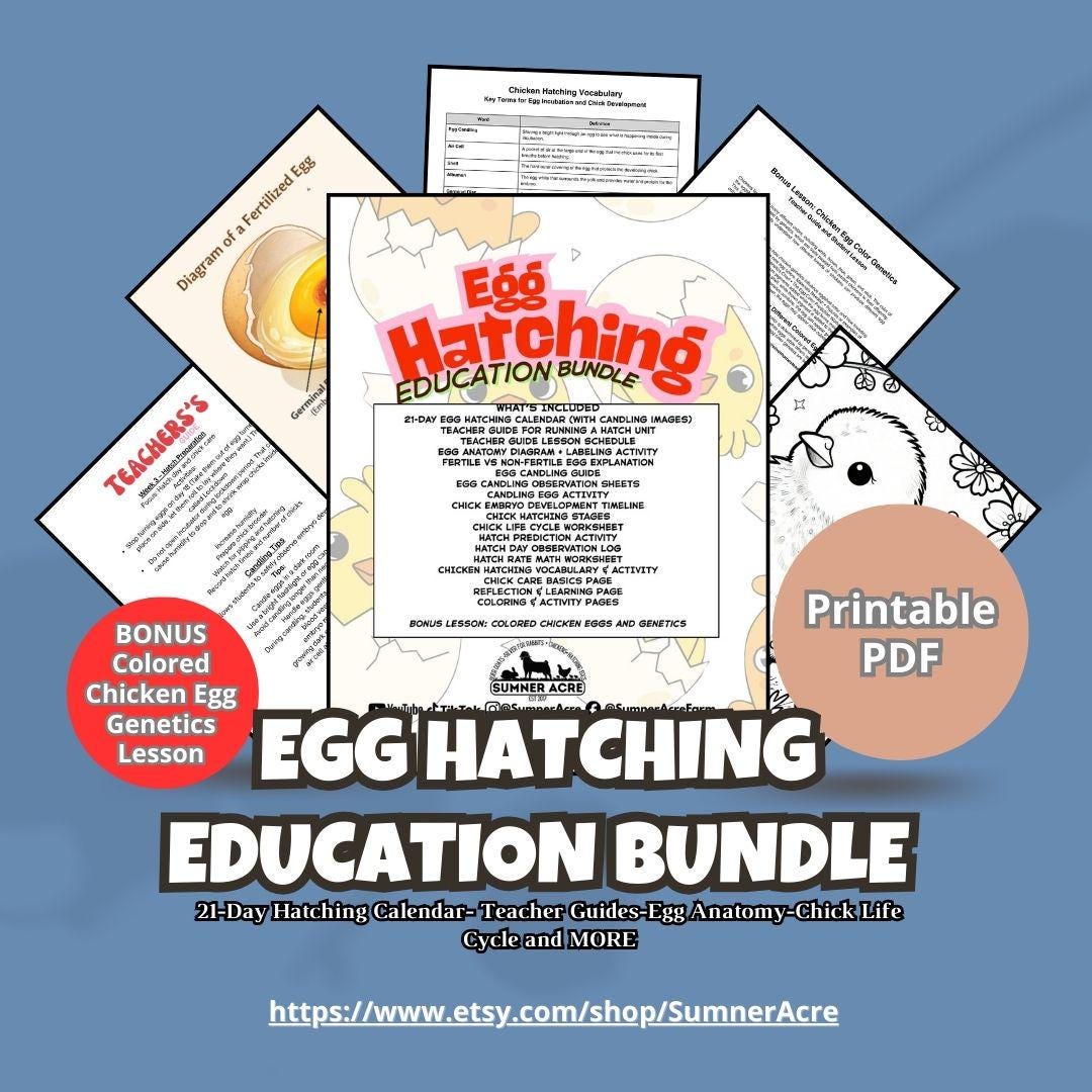 Chicken Egg Hatching Education Bundle Printable PDF | Chick Life Cycle ...