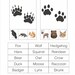 Wildlife Tracks Prek - 1 Learning Adventure: Identify 15 Animal ...