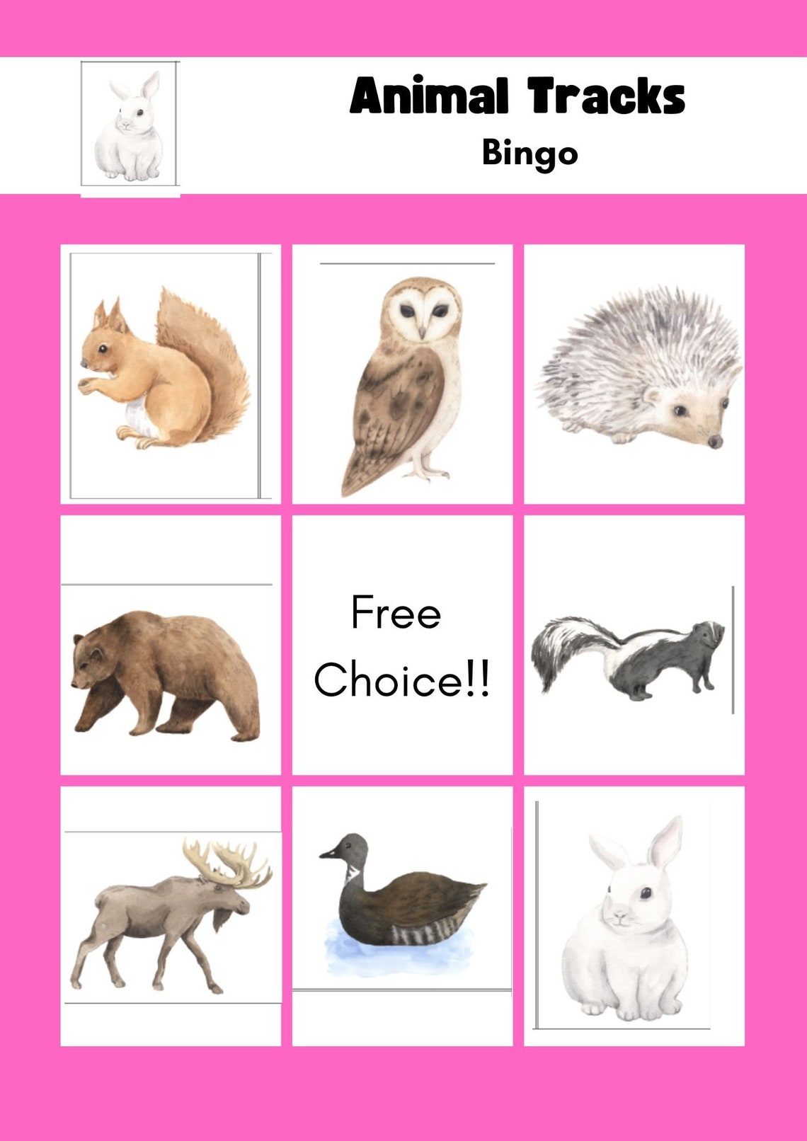Wildlife Tracks Prek 1 Learning Adventure: Identify 15 Animal ...