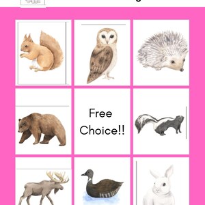 Wildlife Tracks Prek - 1 Learning Adventure: Identify 15 Animal ...