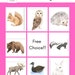 Wildlife Tracks Prek - 1 Learning Adventure: Identify 15 Animal ...