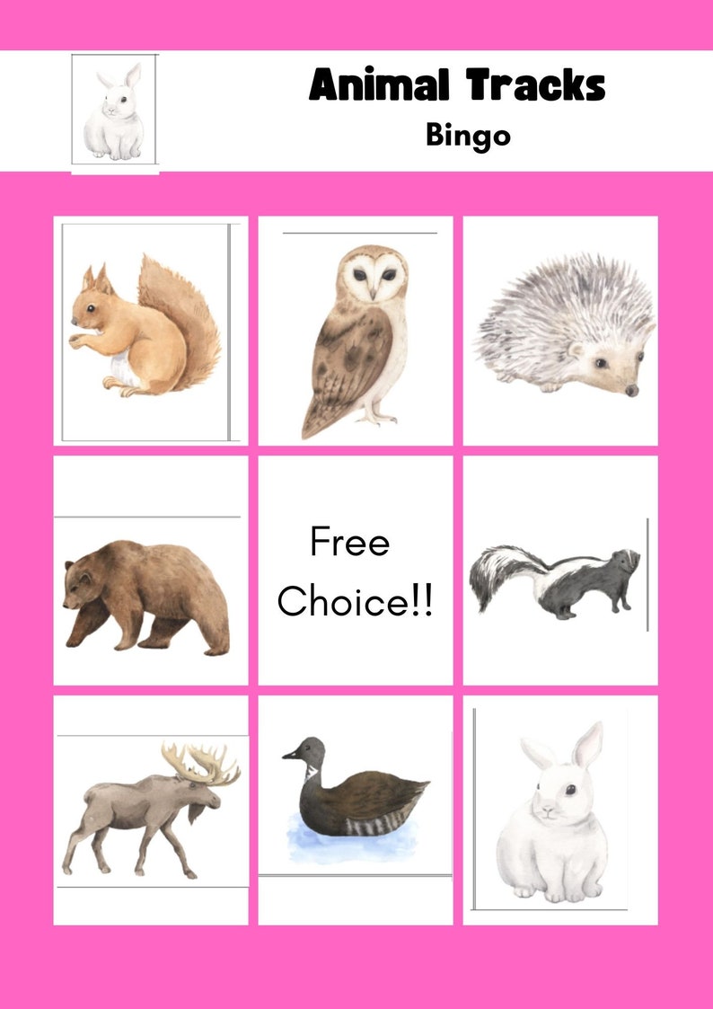 Wildlife Tracks Prek - 1 Learning Adventure: Identify 15 Animal ...