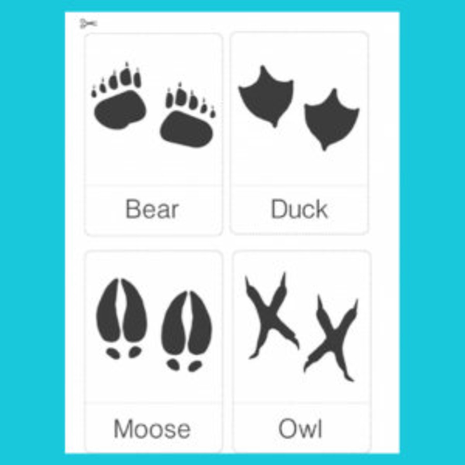 Wildlife Tracks Prek - 1 Learning Adventure: Identify 15 Animal ...