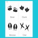 Wildlife Tracks Prek - 1 Learning Adventure: Identify 15 Animal ...
