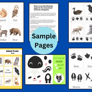 Wildlife Tracks Prek - 1 Learning Adventure: Identify 15 Animal ...