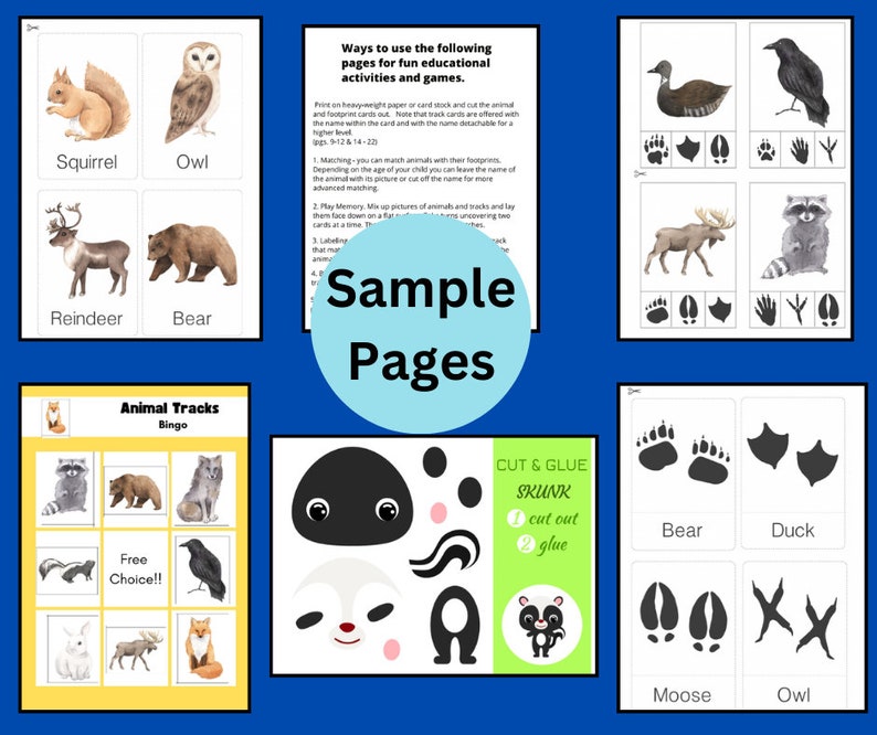 Wildlife Tracks Prek - 1 Learning Adventure: Identify 15 Animal ...