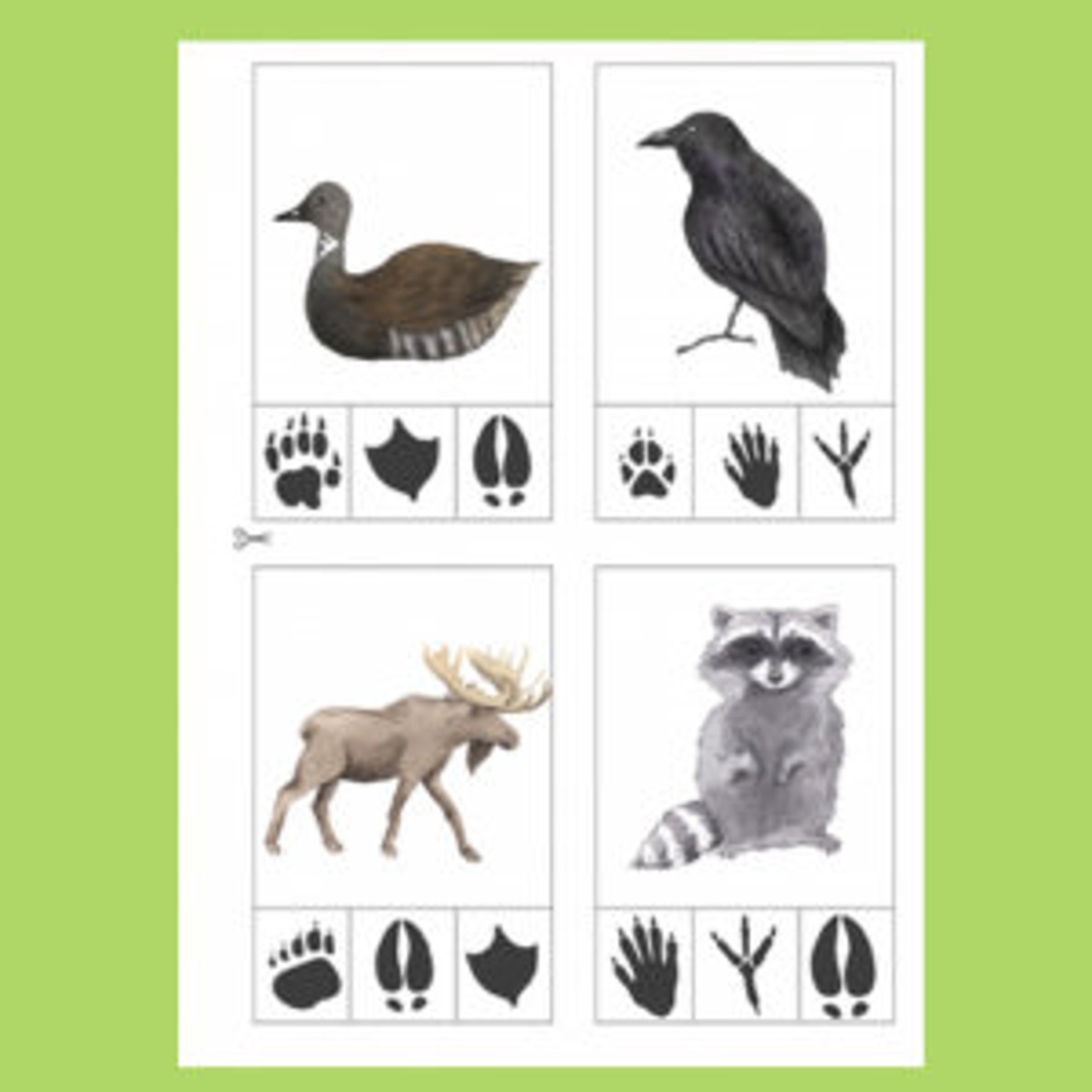 Wildlife Tracks Prek - 1 Learning Adventure: Identify 15 Animal ...