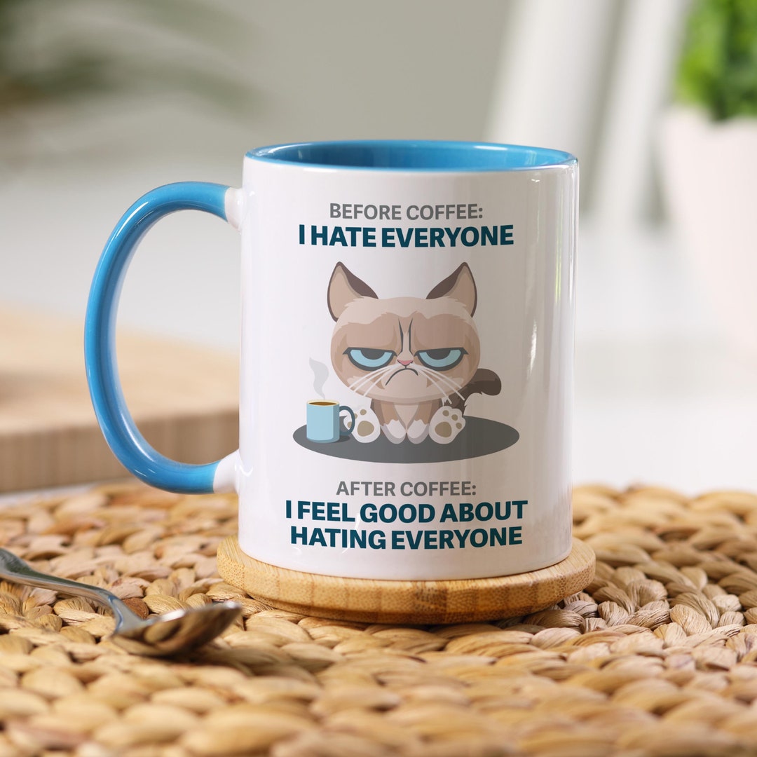Grumpy Cat Coffee Mug Funny Morning Mug for Cat Lovers, Cute Sarcastic ...