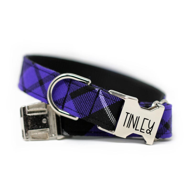 Purple Dog Collar - Etsy