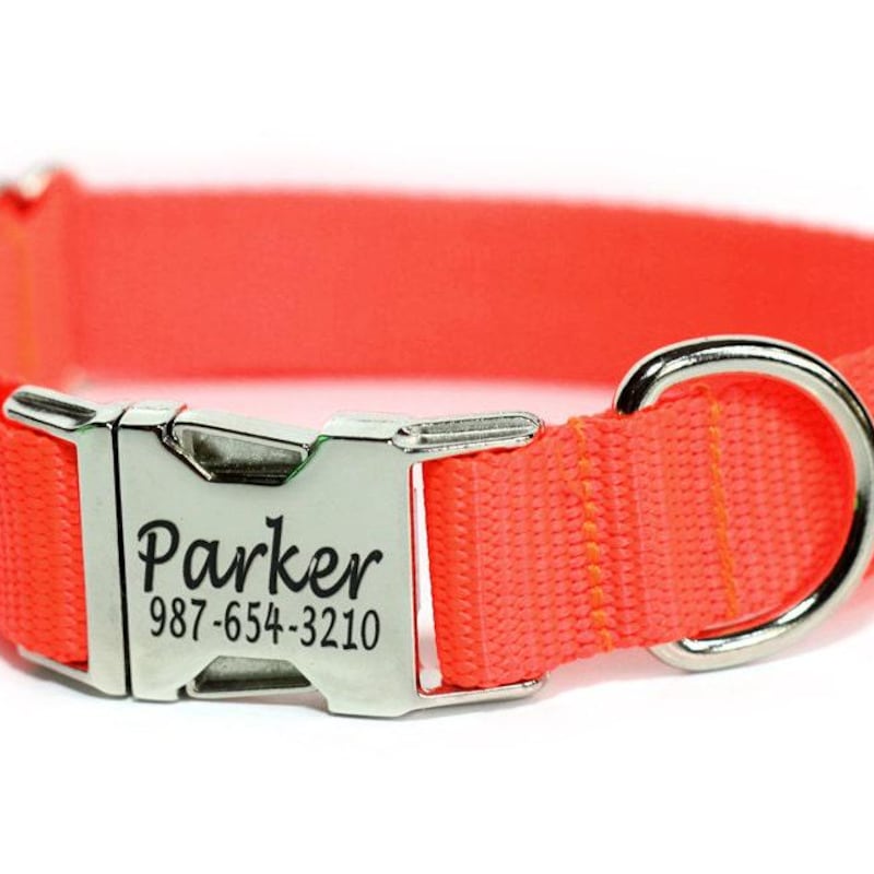 Orange Collar - Etsy