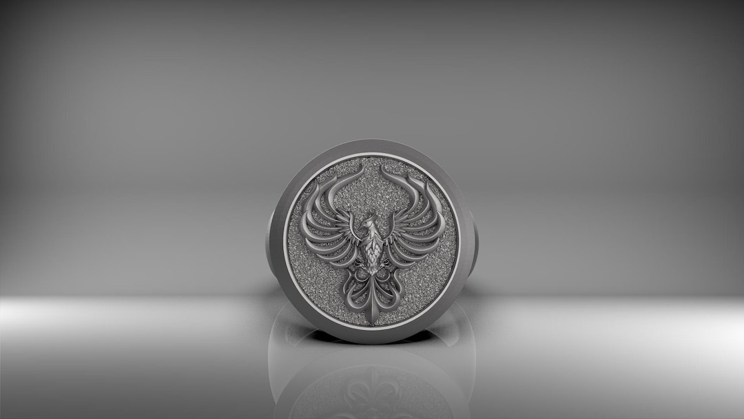 Sterling Silver Phoenix Signet Ring Men, Unique Fantasy Rings for Men ...