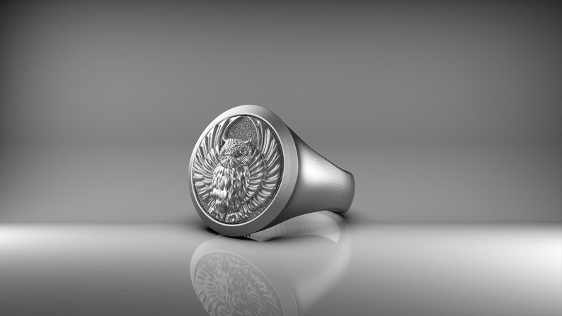 Owl Unique Signet Ring in Oxidized Silver, Dainty Animal Bird Nature ...
