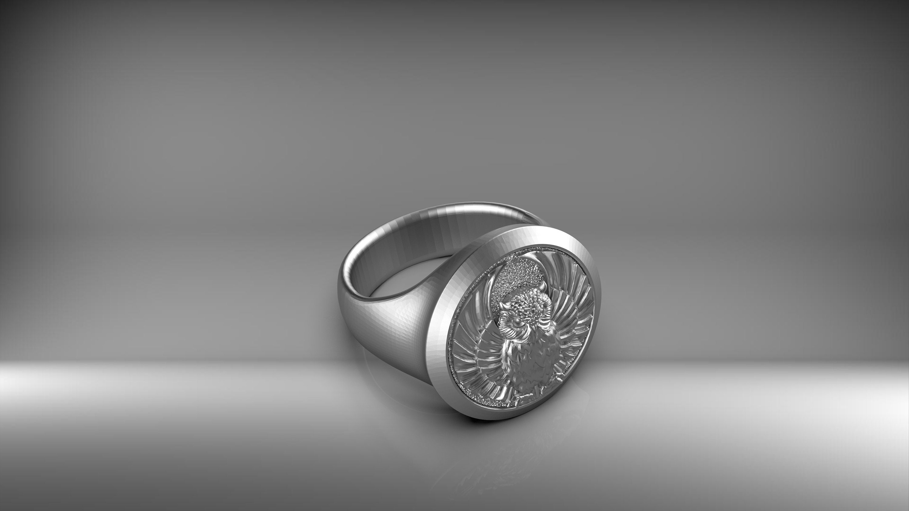 Owl Unique Signet Ring in Oxidized Silver, Dainty Animal Bird Nature ...