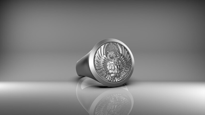 Owl Unique Signet Ring in Oxidized Silver, Dainty Animal Bird Nature ...