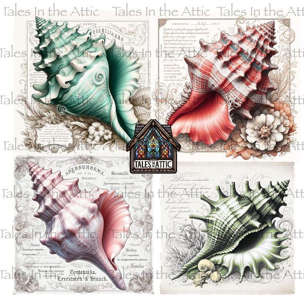 Decoupage Conch Shells - Etsy