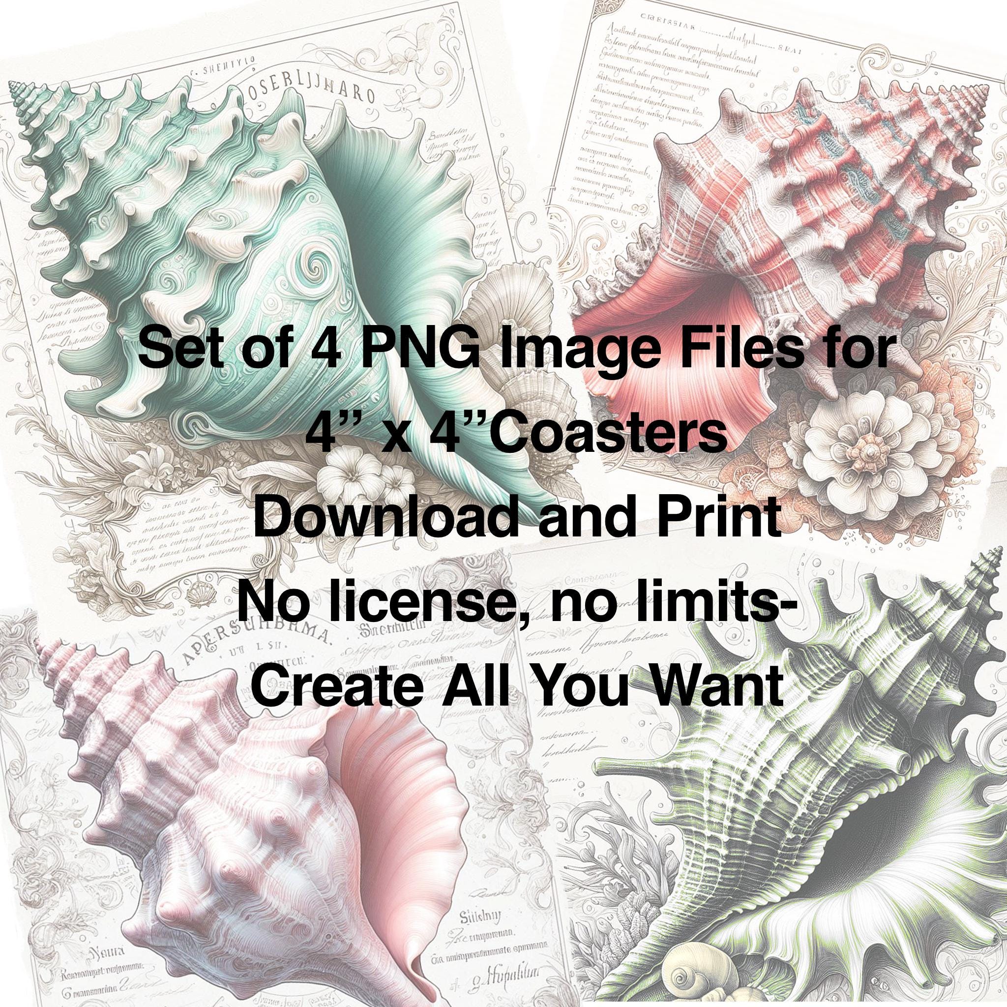 Conch Shell Downloadable PNG Image Files for 4” Coasters, 300 Dpi ...