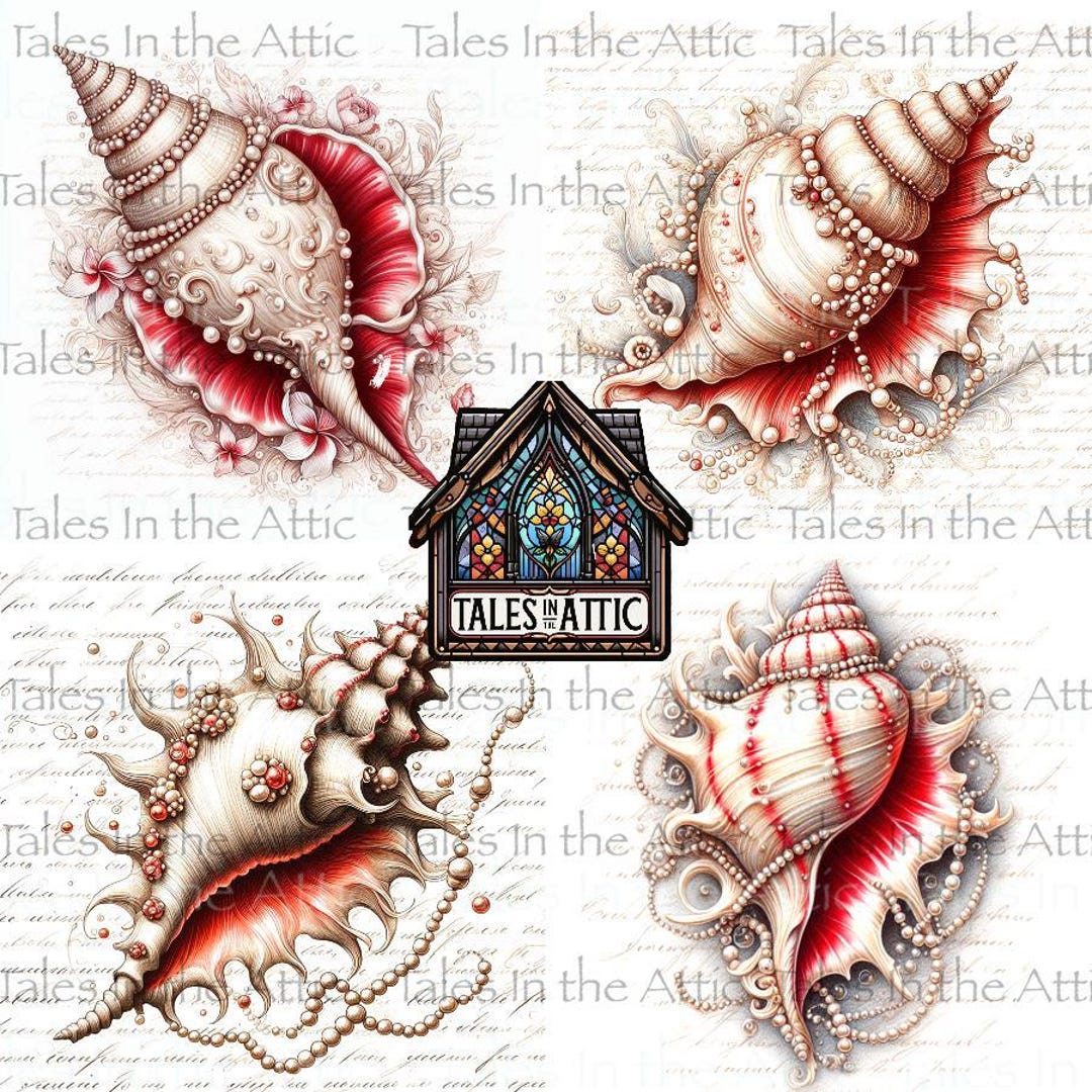 Pearls Conch Seashells PNG Image Files for 4” Coasters, 300 Dpi, for ...