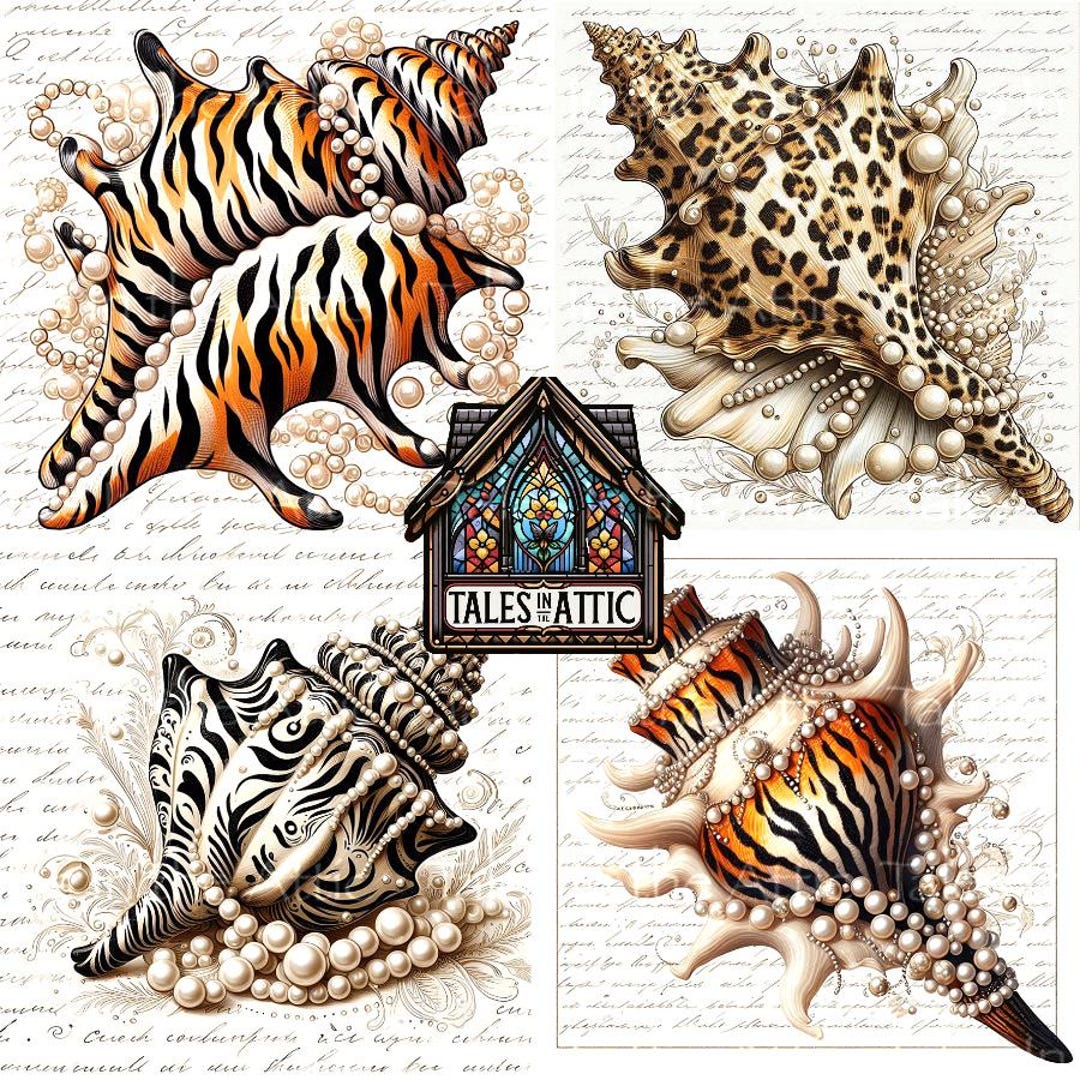 Animal Print Conch Shells: 4" Coaster PNG Files for Collage,sublimation ...