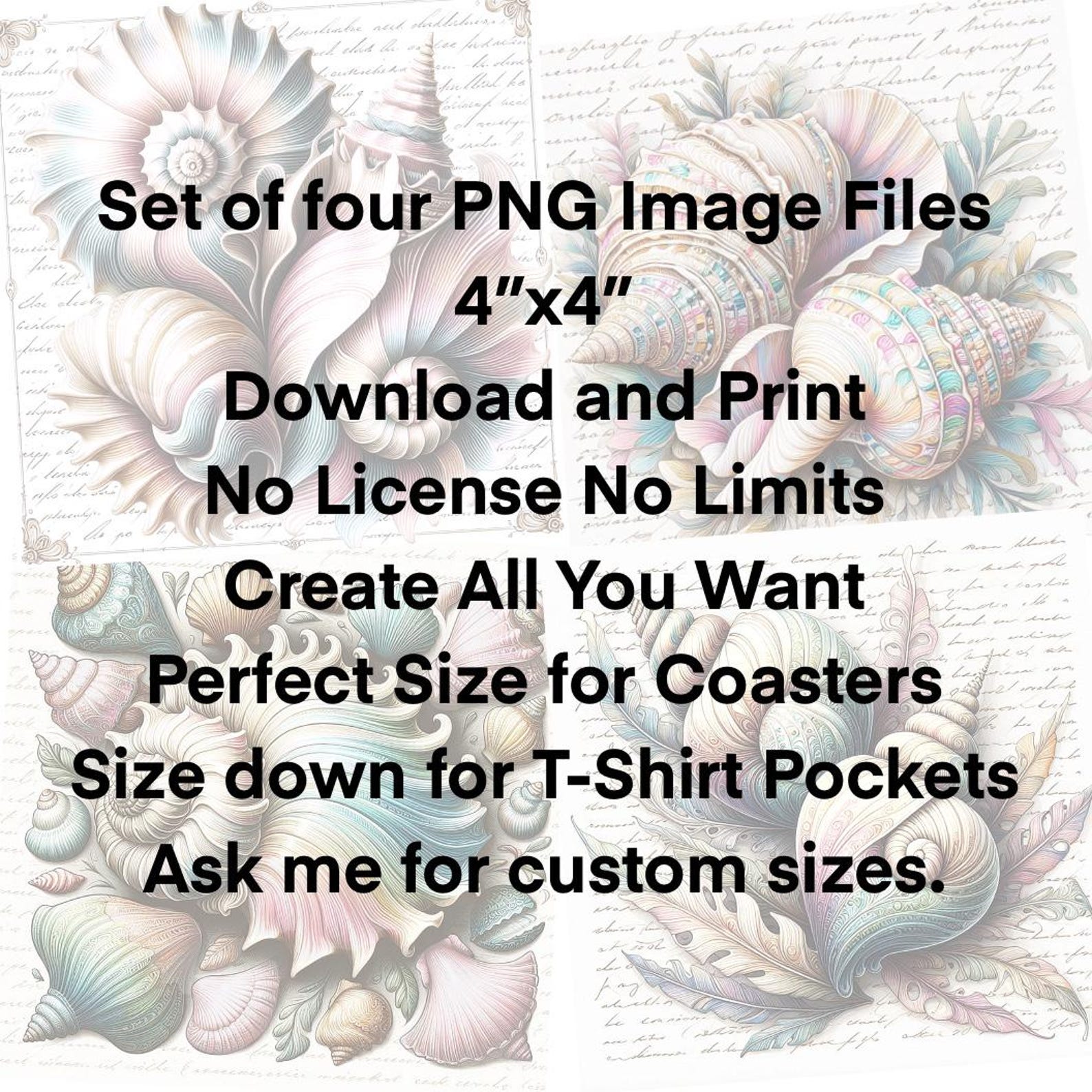 Pastel Conch Seashells PNG Image Files for 4” Coasters, 300 Dpi, for ...
