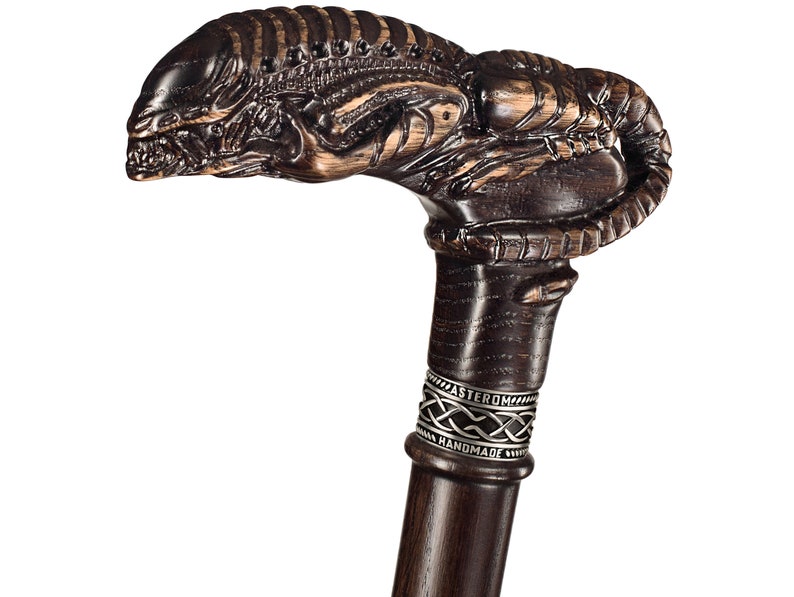 Custom Walking Cane - Unique Cane, Cane for Men, Cane for Women ...