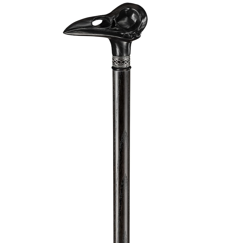 Custom Plague Doctor Cane, Handmade Walking Cane, Skull Cane, Raven ...