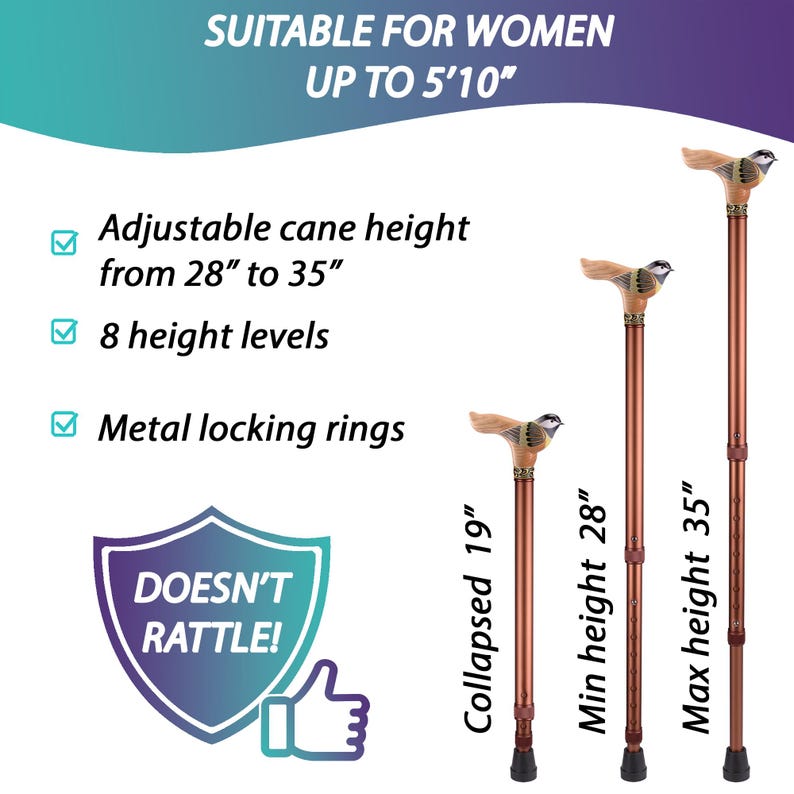 Walking Cane for Women - Hand-painted Birdie, Adjustable, Stylish ...