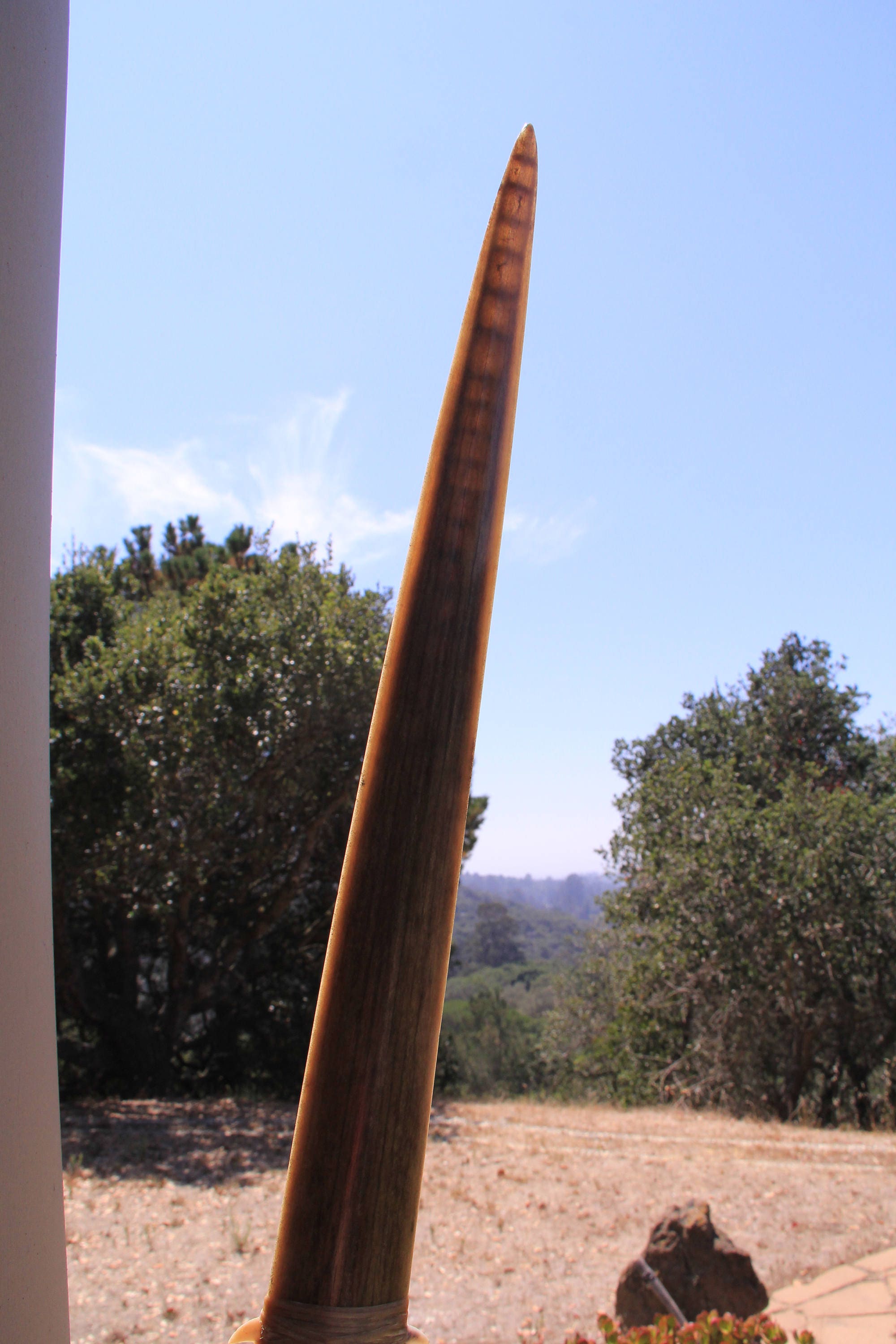 Sword With Swordfish Bill Blade, Fossil Shark Teeth. Stone Handle ...