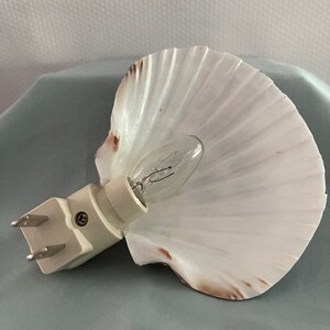 Decoupaged Seashell Night Light, Blue Heron Night Light, Shell ...