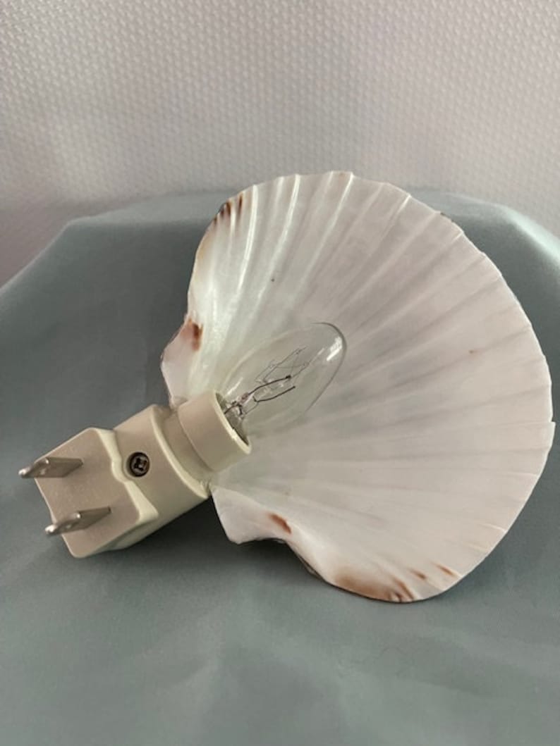 Decoupaged Seashell Night Light, Blue Heron Night Light, Shell ...