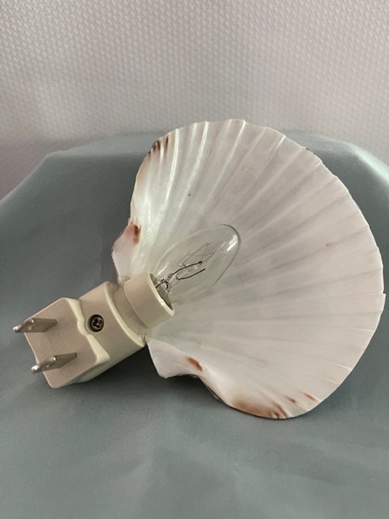 Decoupaged Seashell Night Light, Blue Sea Turtle Night Light, Shell ...