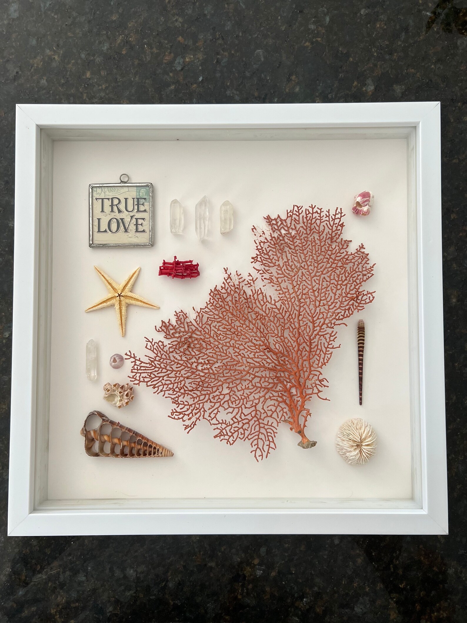 Sea Fan Coral Crystal Shell Shadow Box Wall Art - Etsy