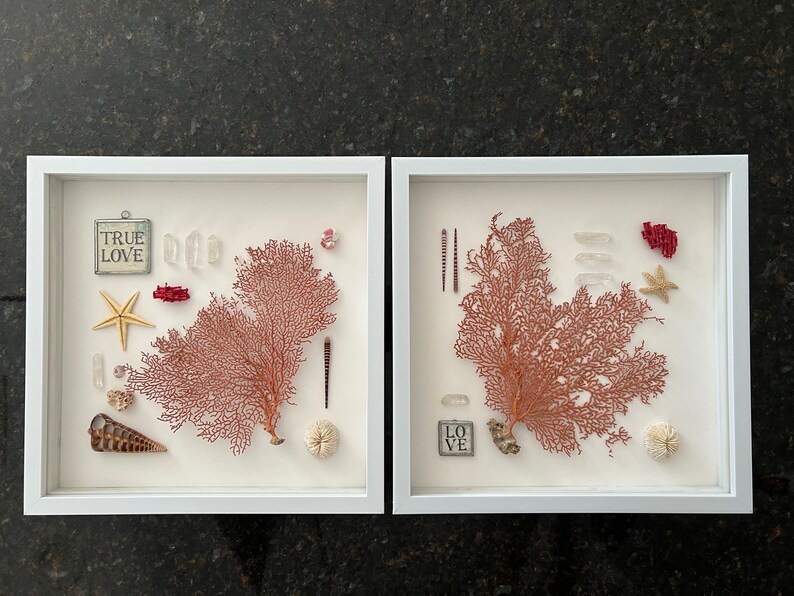 Sea Fan Coral Crystal Shell Shadow Box Wall Art - Etsy