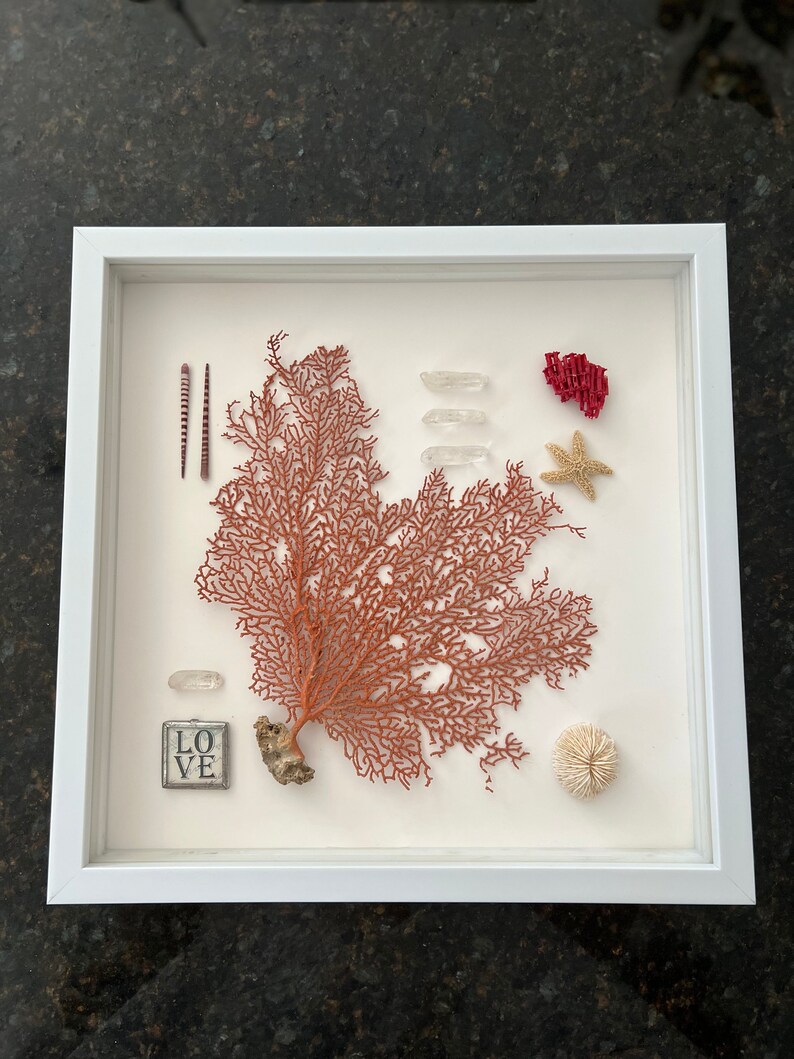 Sea Fan Coral Crystal Shell Shadow Box Wall Art - Etsy