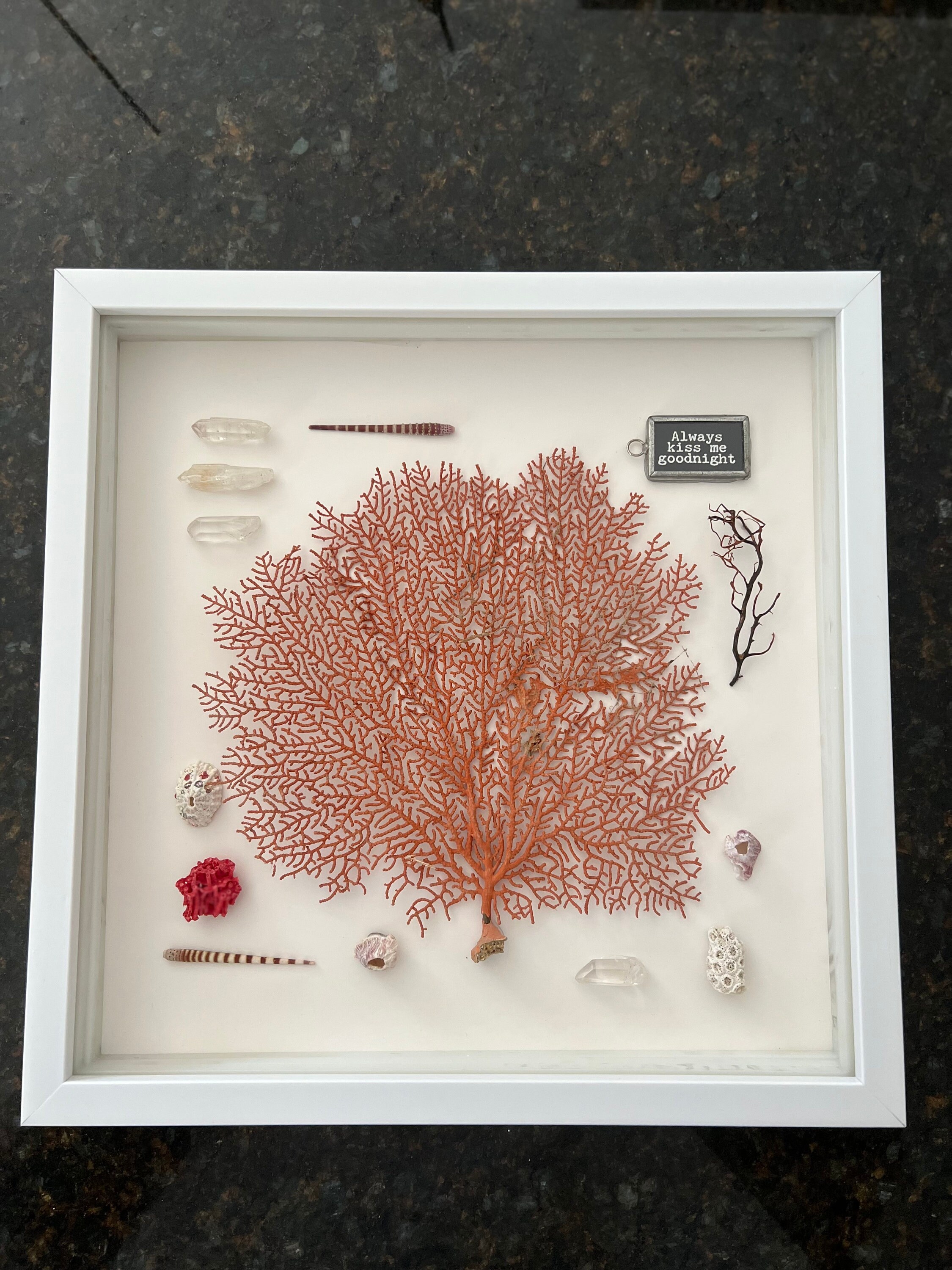 Sea Fan Coral Crystal Shell Shadow Box Wall Art - Etsy