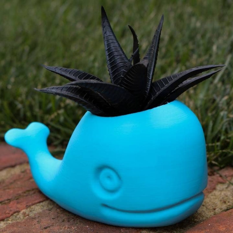 Cute Whale Planter STL Files, 3D Printer File - Etsy