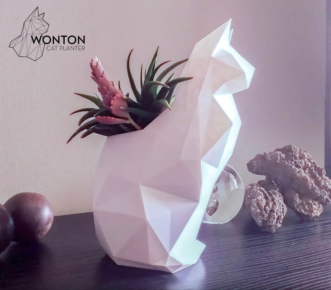 Wonton Cat Planter STL Files, 3D Printer File - Etsy Canada